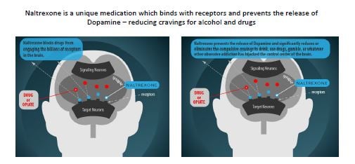 BioCorRx on b2i Digital